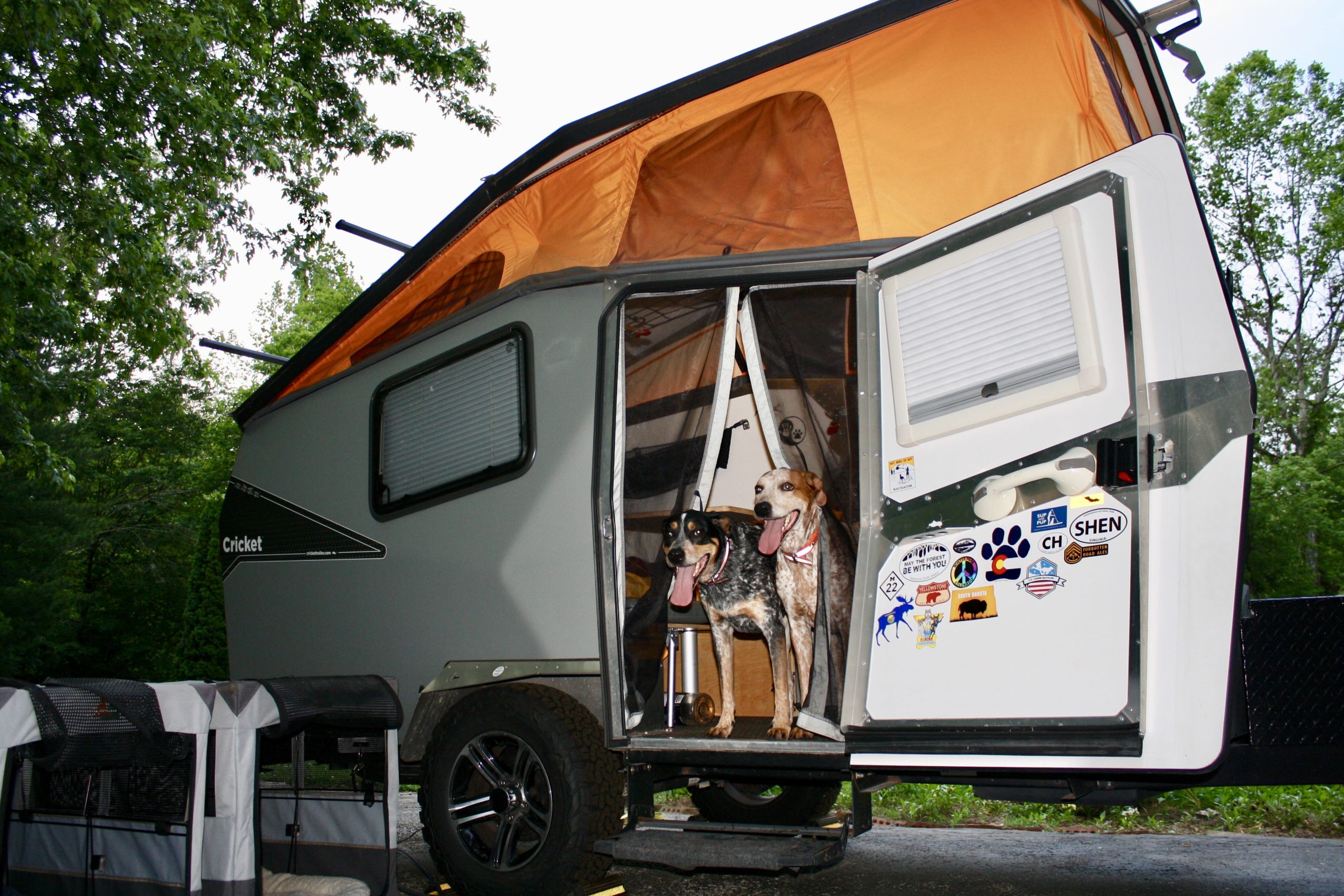 My Cricket Pop-Camper Habitat is My Happy, Safe Place | TAXA