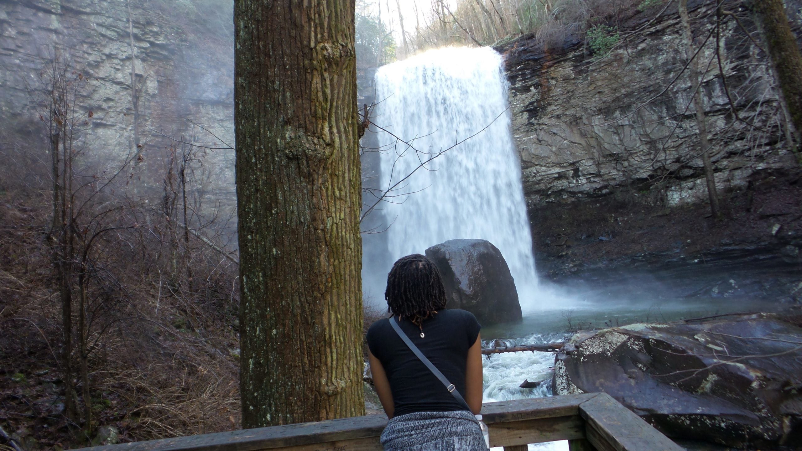 What Are State Camping Passes & Should I Get One? | TAXA